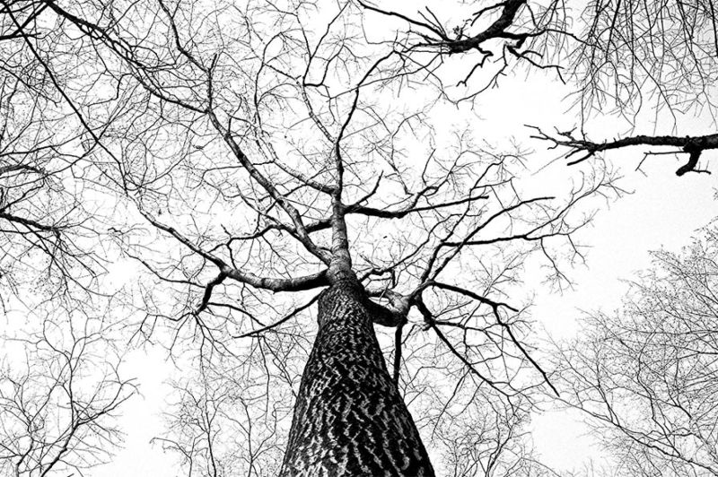 Migrating From Git - Dark Illustrations - Amazing HD Collection